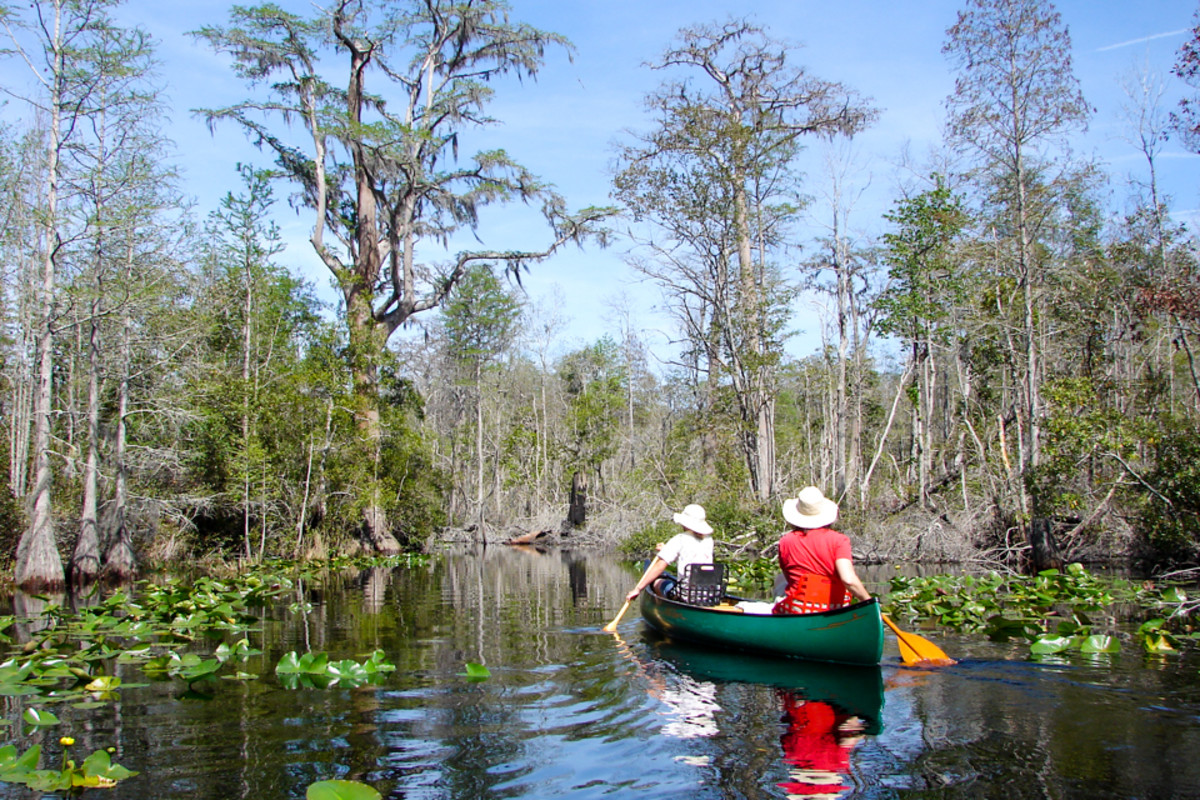 Meet a Water Trail: Georgia's Okefenokee Wilderness Canoe Trails