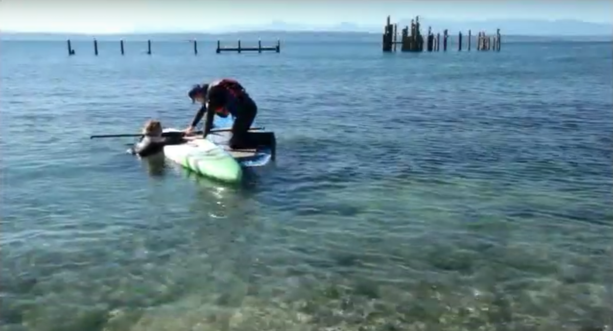 How to Perform Six SUP Rescue Techniques