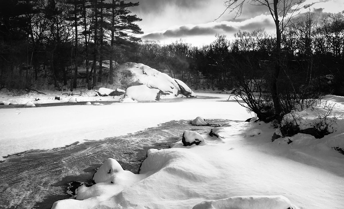 The Polar Vortex Is Here: What It Is and How You Can Get Through It