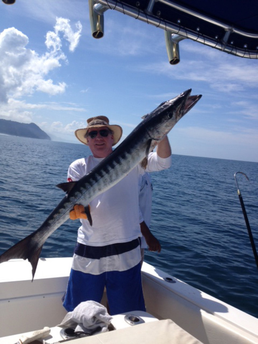 Unknowing angler eats giant barracuda, loses chance at world record ...
