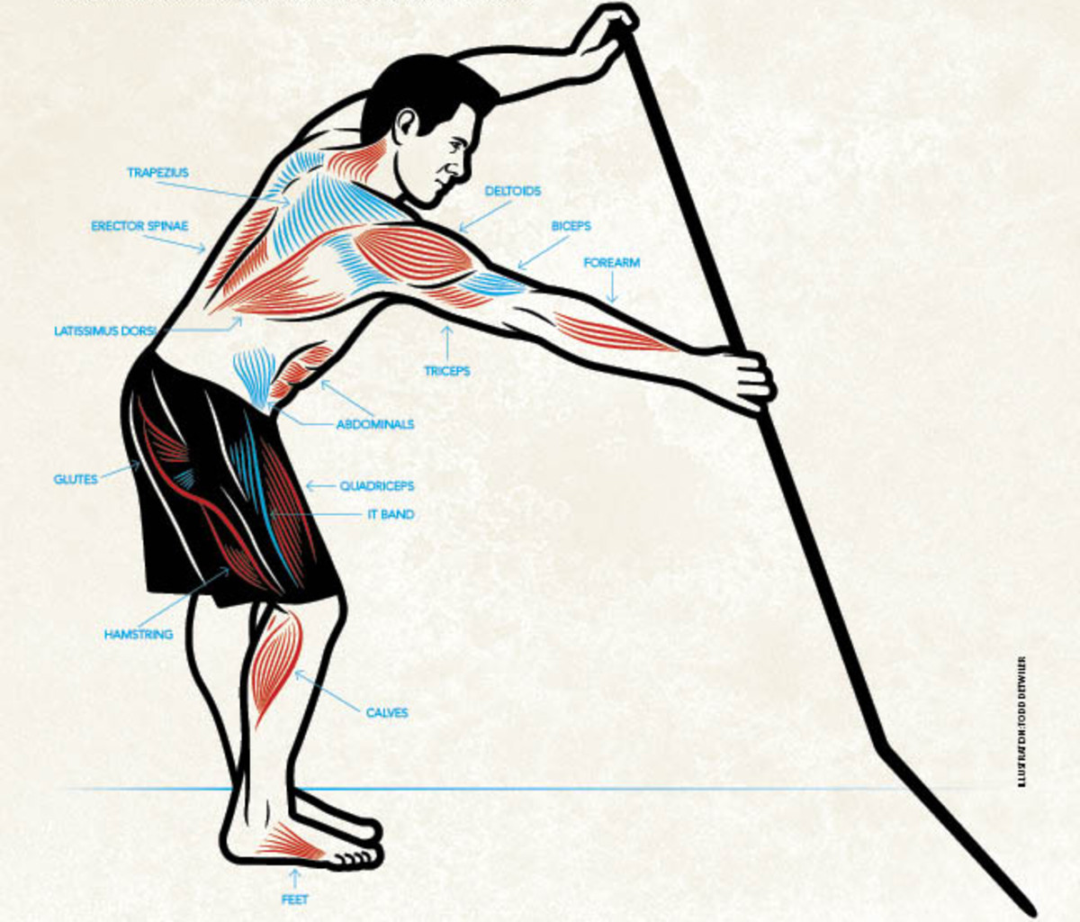 The Right Muscles to Use During a Standup Paddle Stroke
