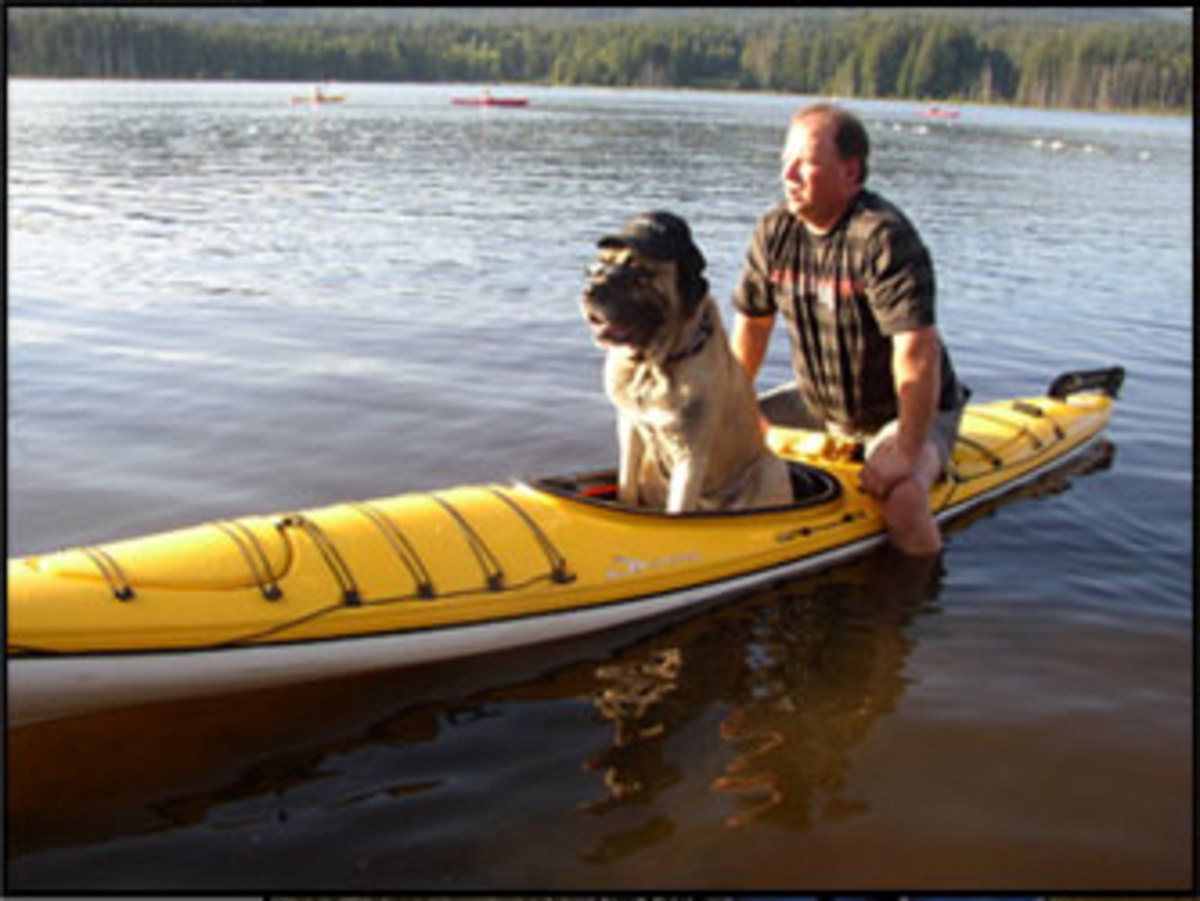 Dog Paddling Tips: How to take Rover boating safely