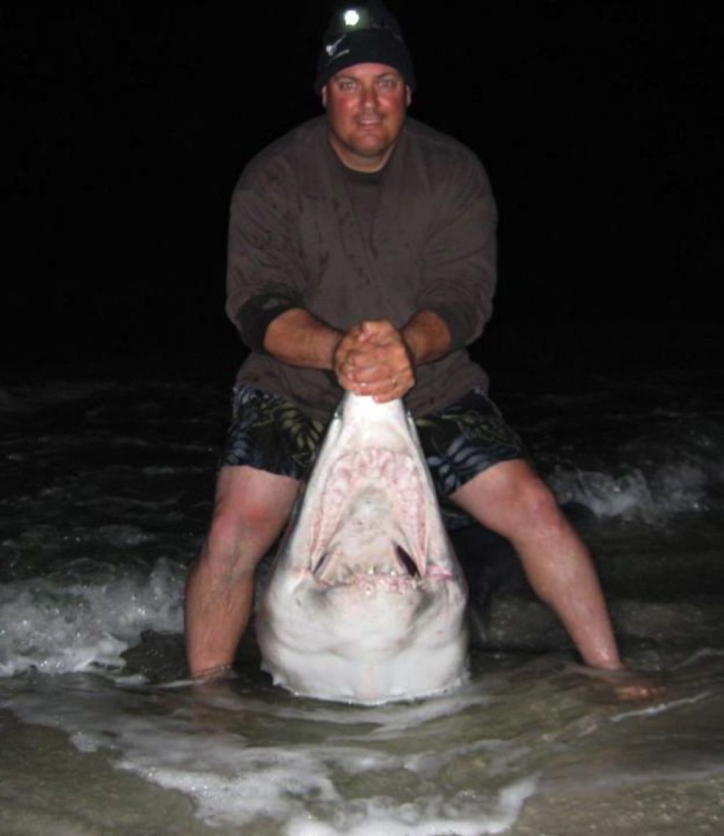 Huge mako shark caught from Florida beach