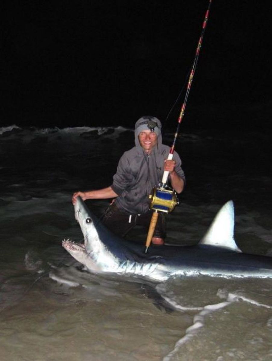 Huge mako shark caught from Florida beach