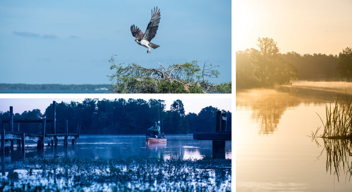 My Backyard Adventure: Ron Champion, presented by NRS