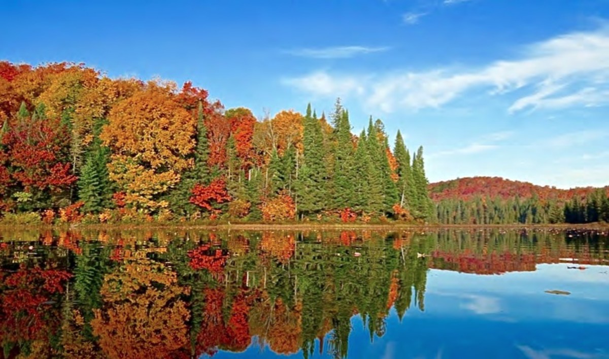 5 Favorite Lakes in Algonquin Provincial Park - Men's Journal