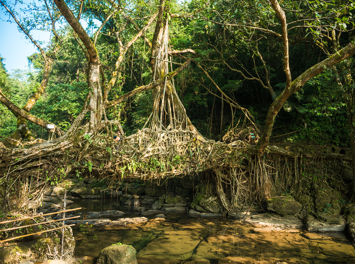 The 7 Most Spectacular Natural and Manmade Bridges in the World