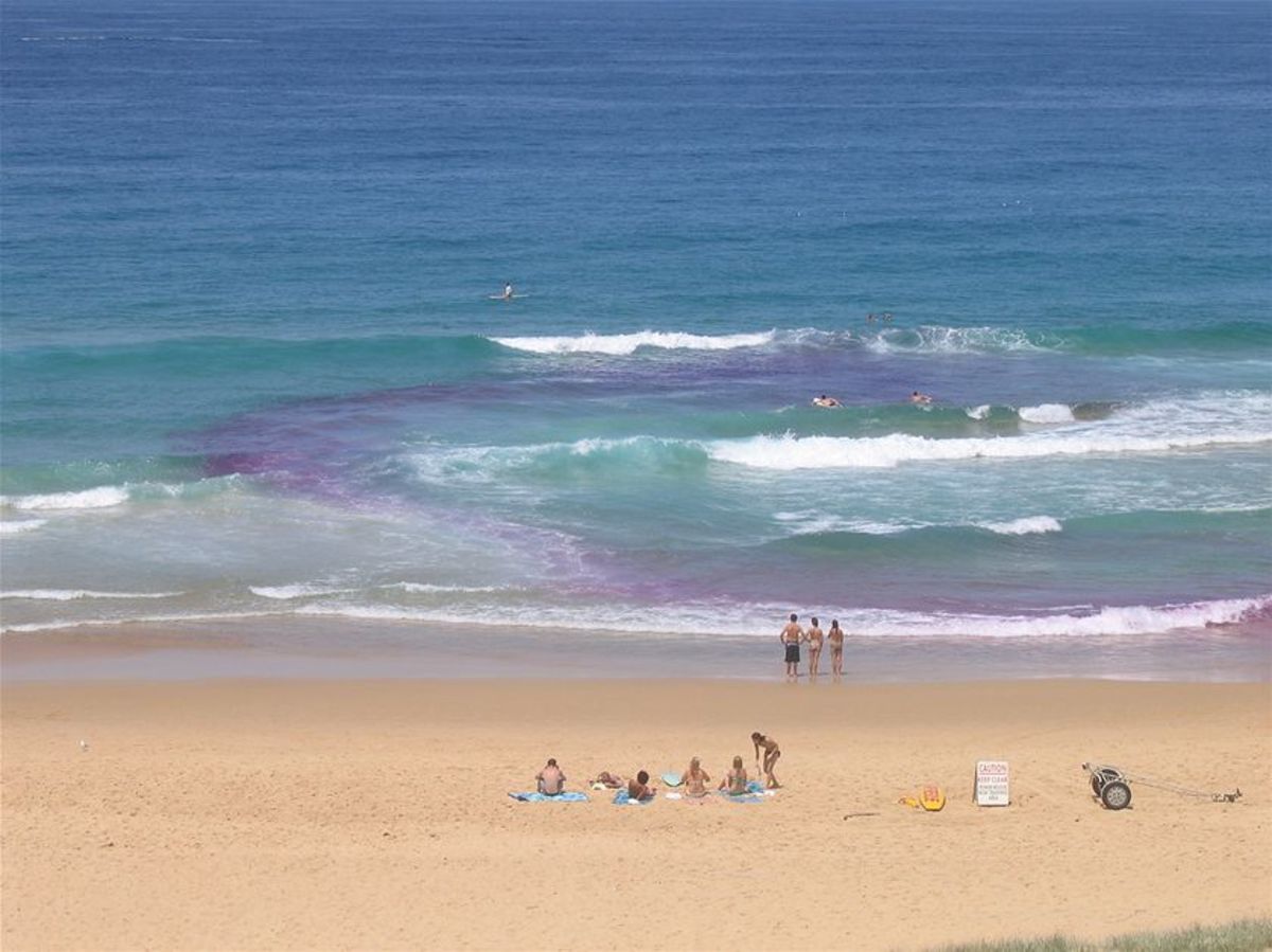 New study shines light on surviving riptides