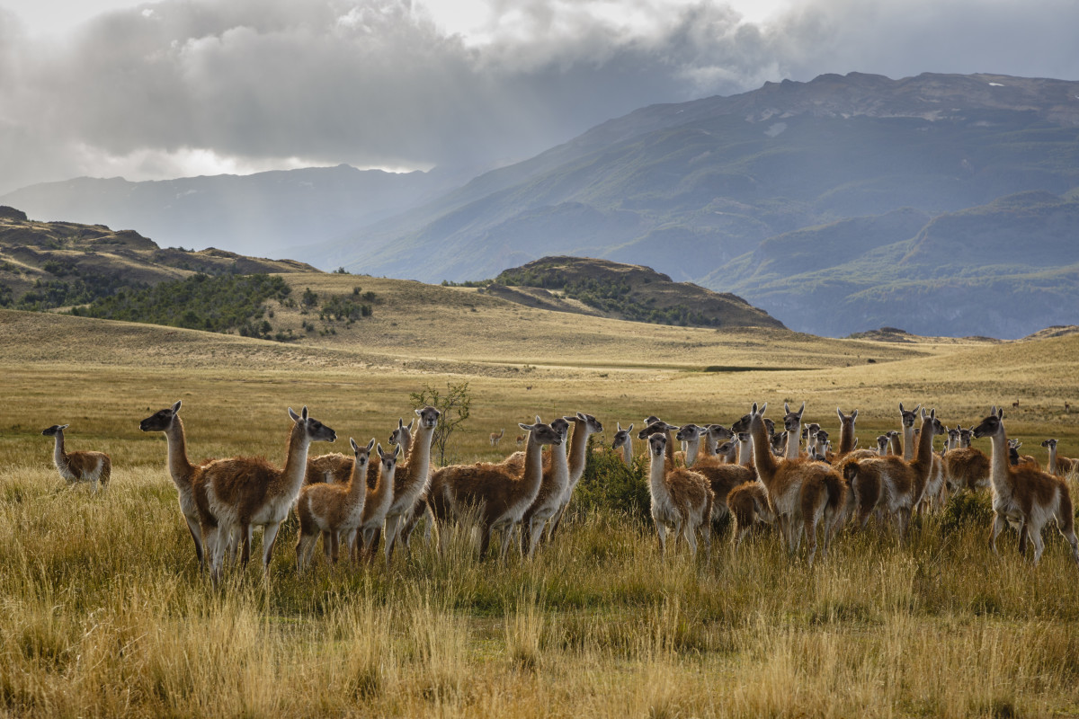 Getting Lost in Patagonia Park, Chile's Newest National Park