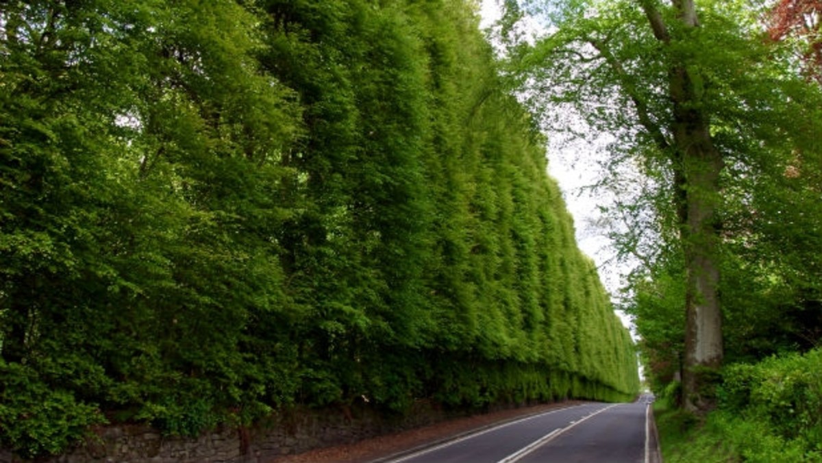 The 11 Best Roads to Drive in the World for Fun, Scenic Road Trips