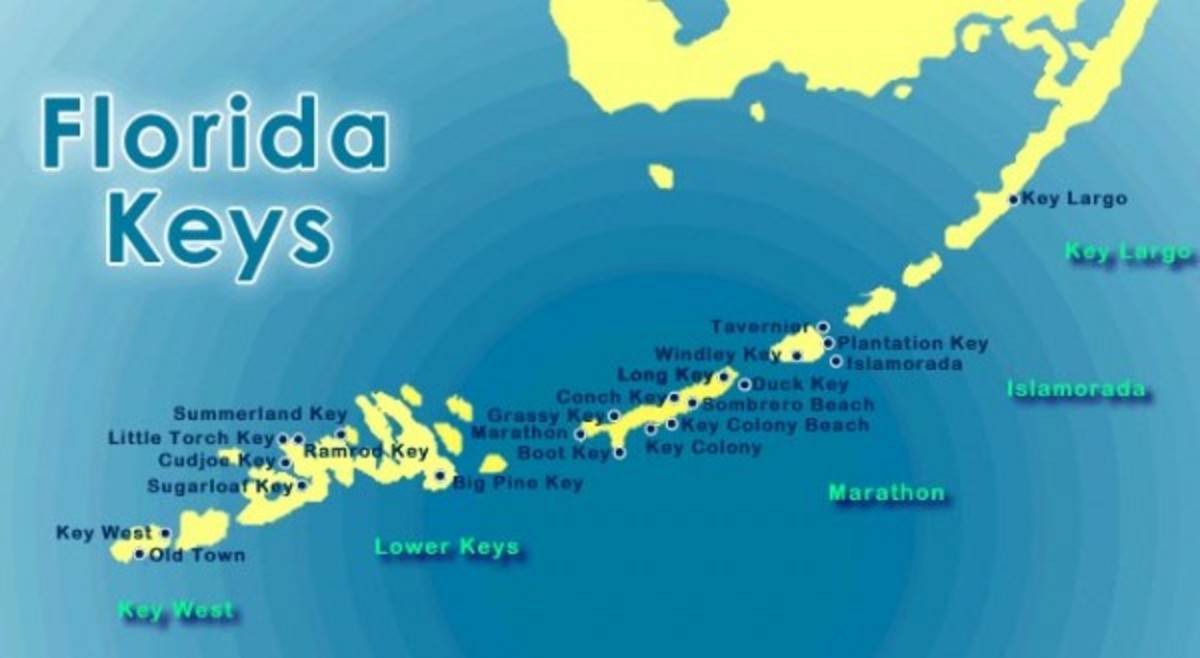 Four Shark-Chewed Bodies Found Off Florida Keys