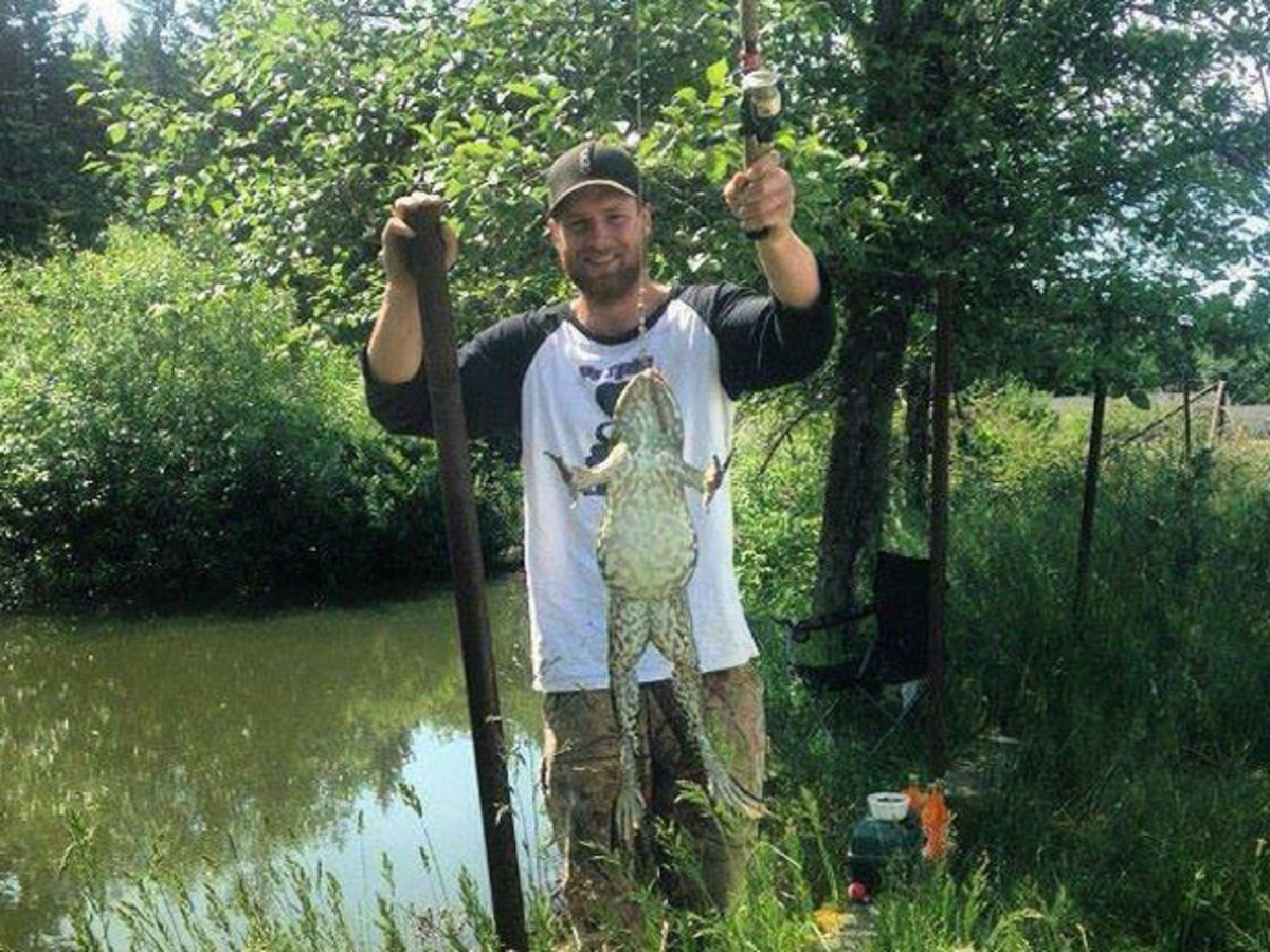 Giant bullfrogs invade Vancouver Island