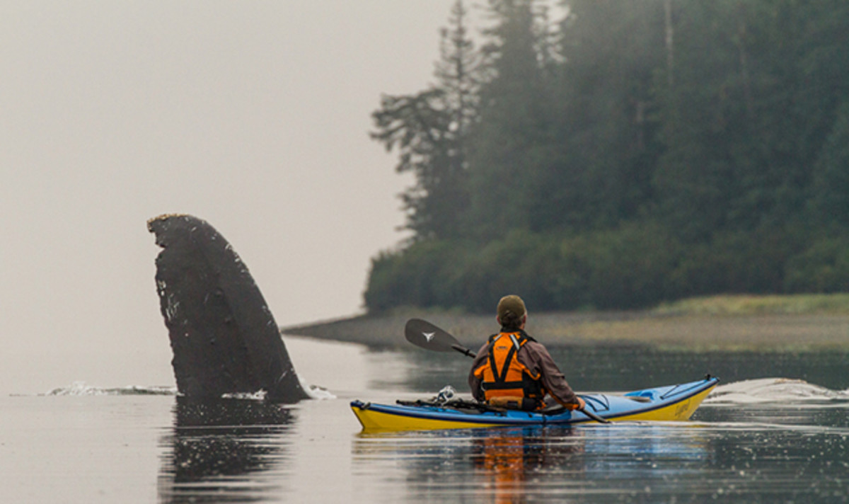 Photography From Your Kayak: Capturing The Moment