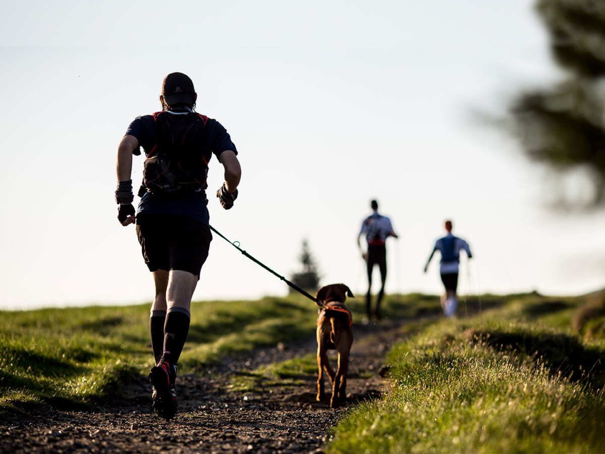 9 tips for running with your dog