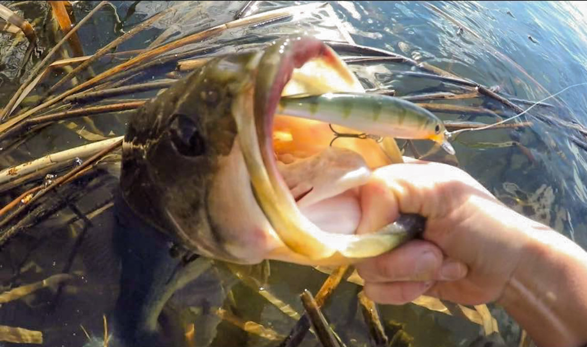 Kayak Fish: KBF Championship Prep: Get Your Mind Right