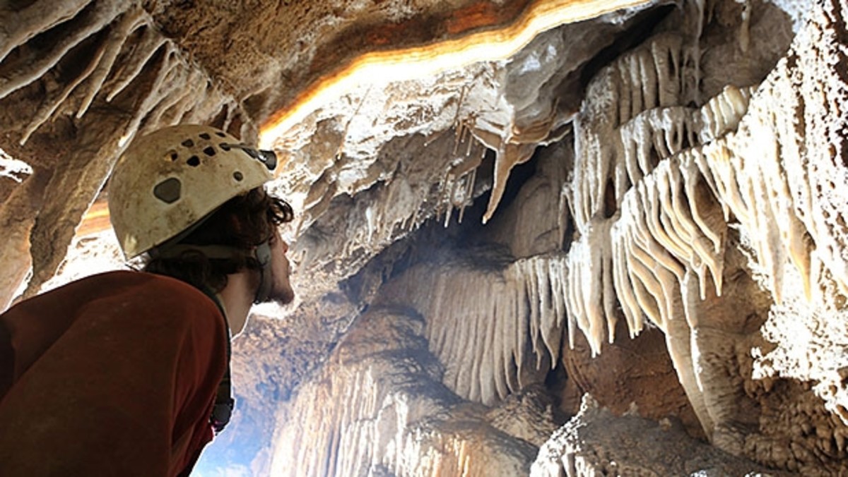 The 22 Greatest Record-Breaking Feats of 2014