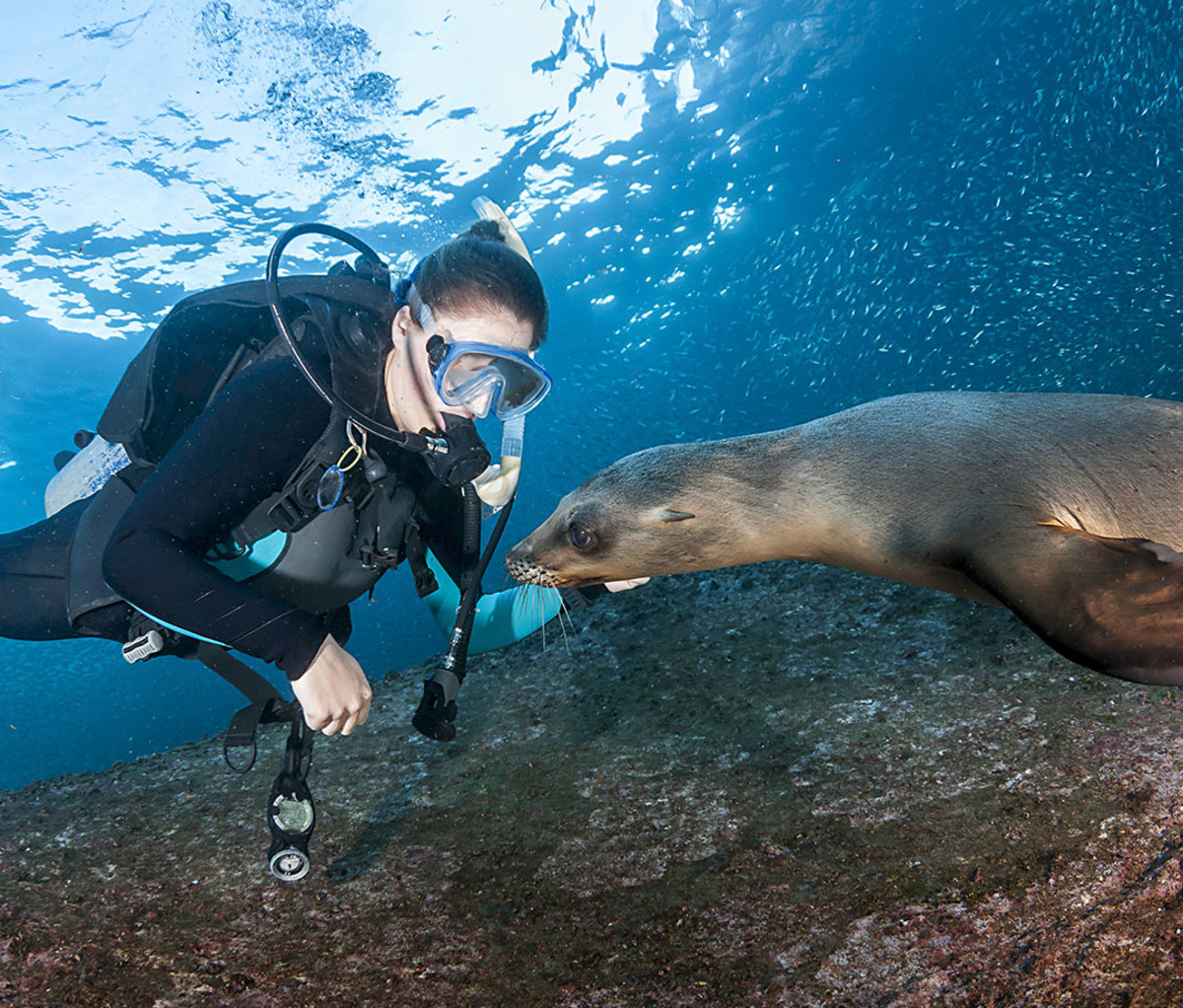 The World's Top 10 Best Scuba-Diving Destinations