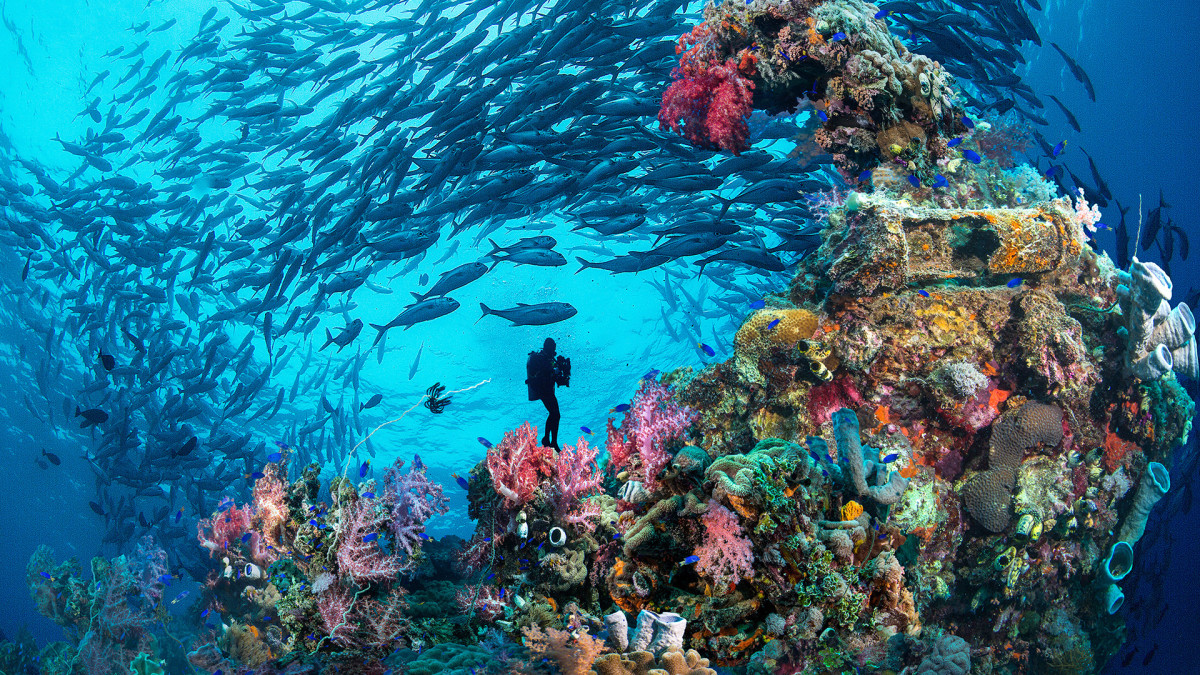 The World's Top 10 Best Scuba-Diving Destinations