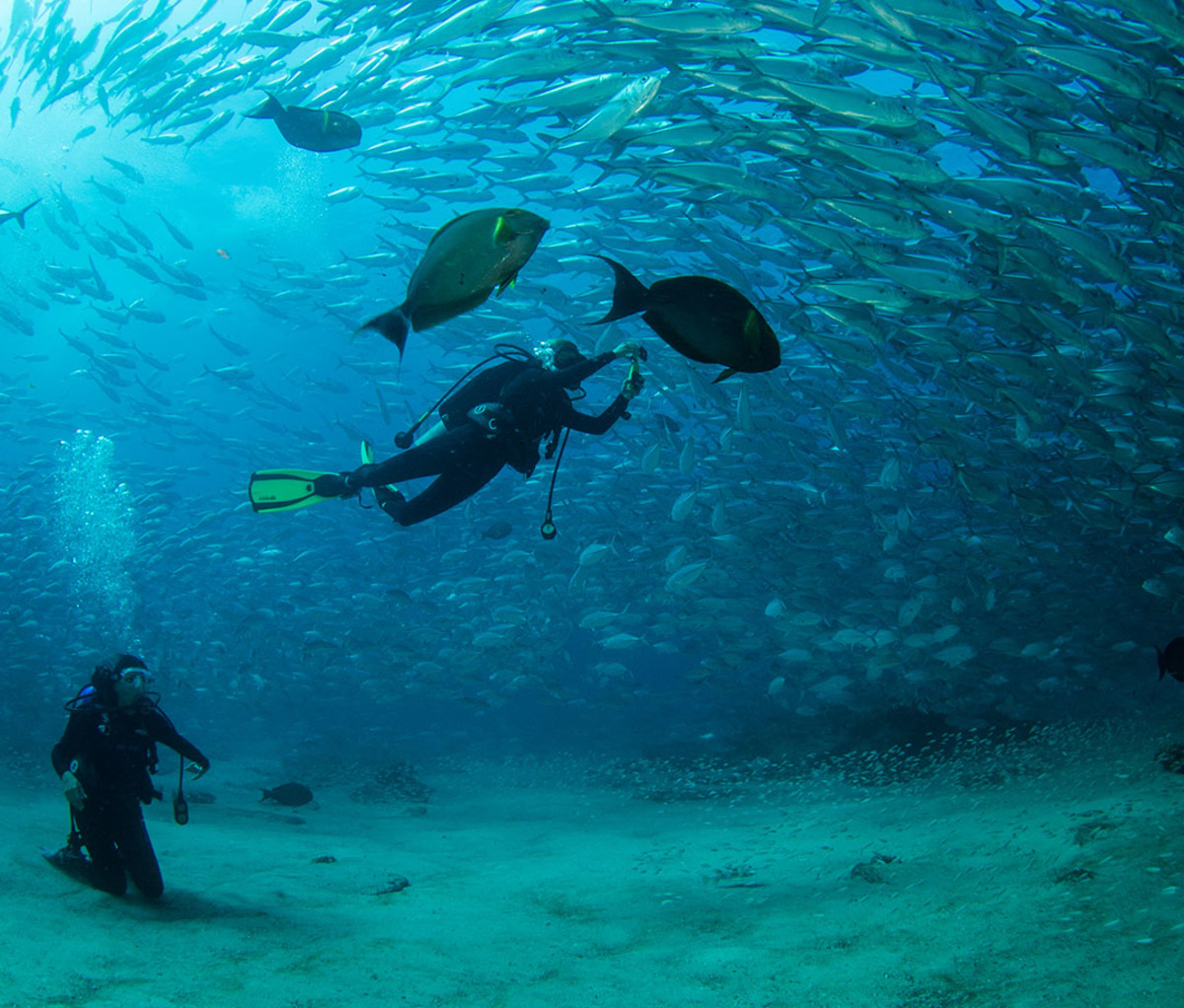 The World's Top 10 Best Scuba-Diving Destinations