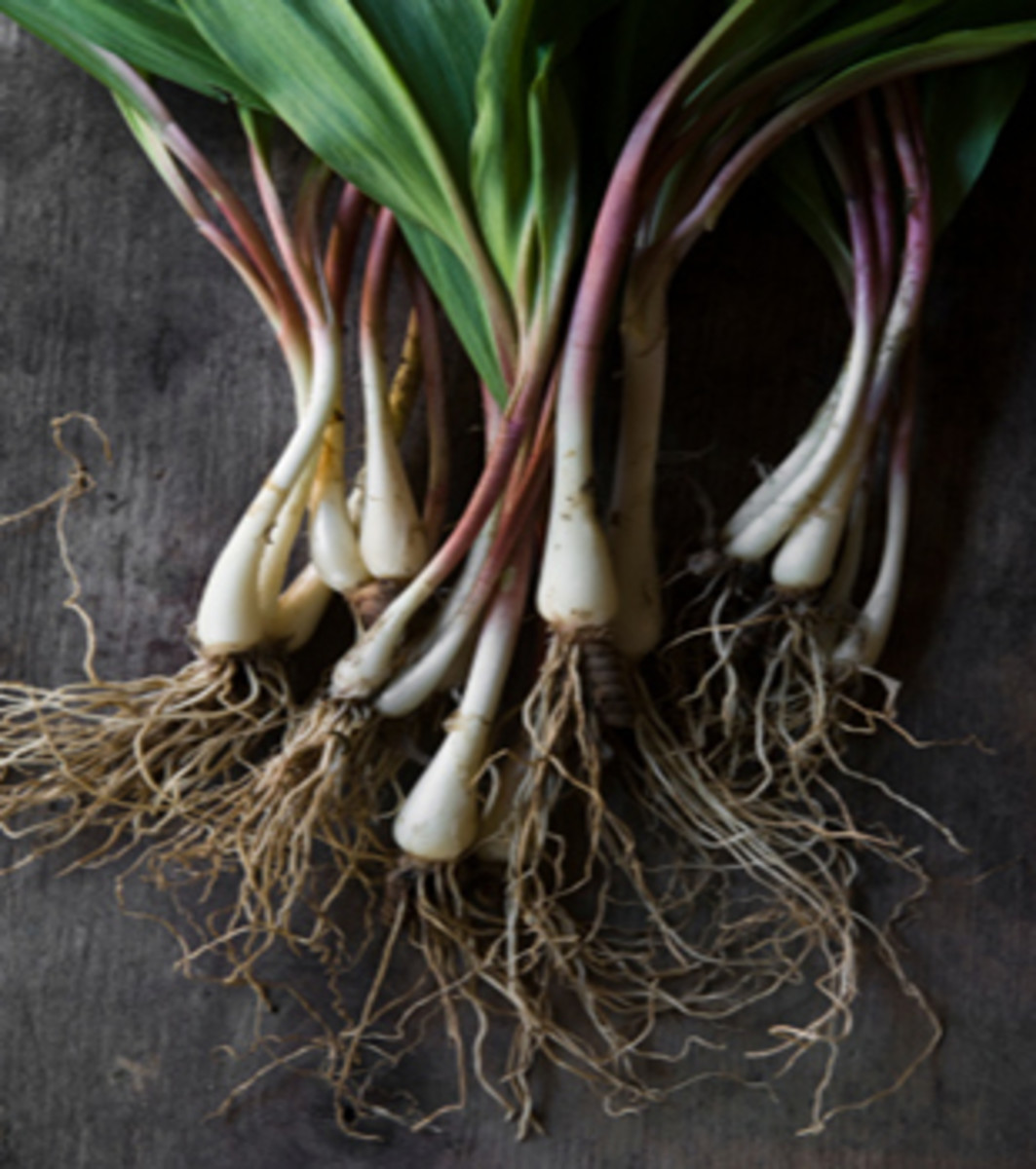 15 seasonal spring foods you should eat right now - Men's Journal