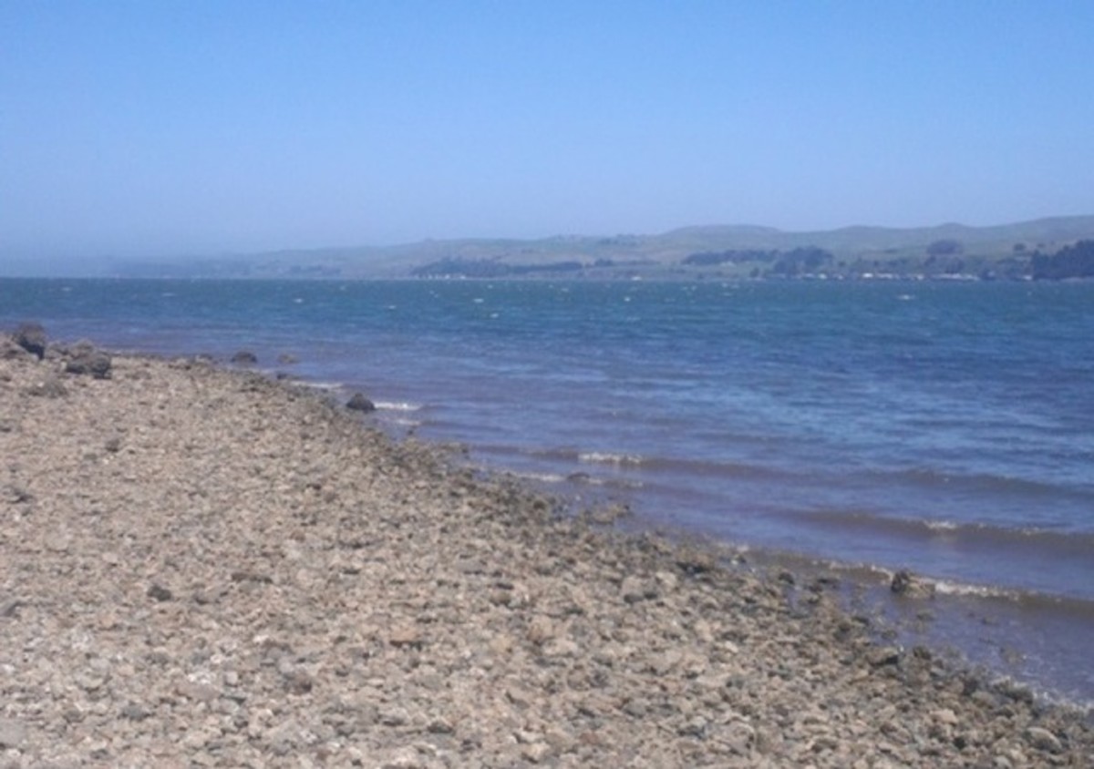 Glide of the Week: Tomales Bay