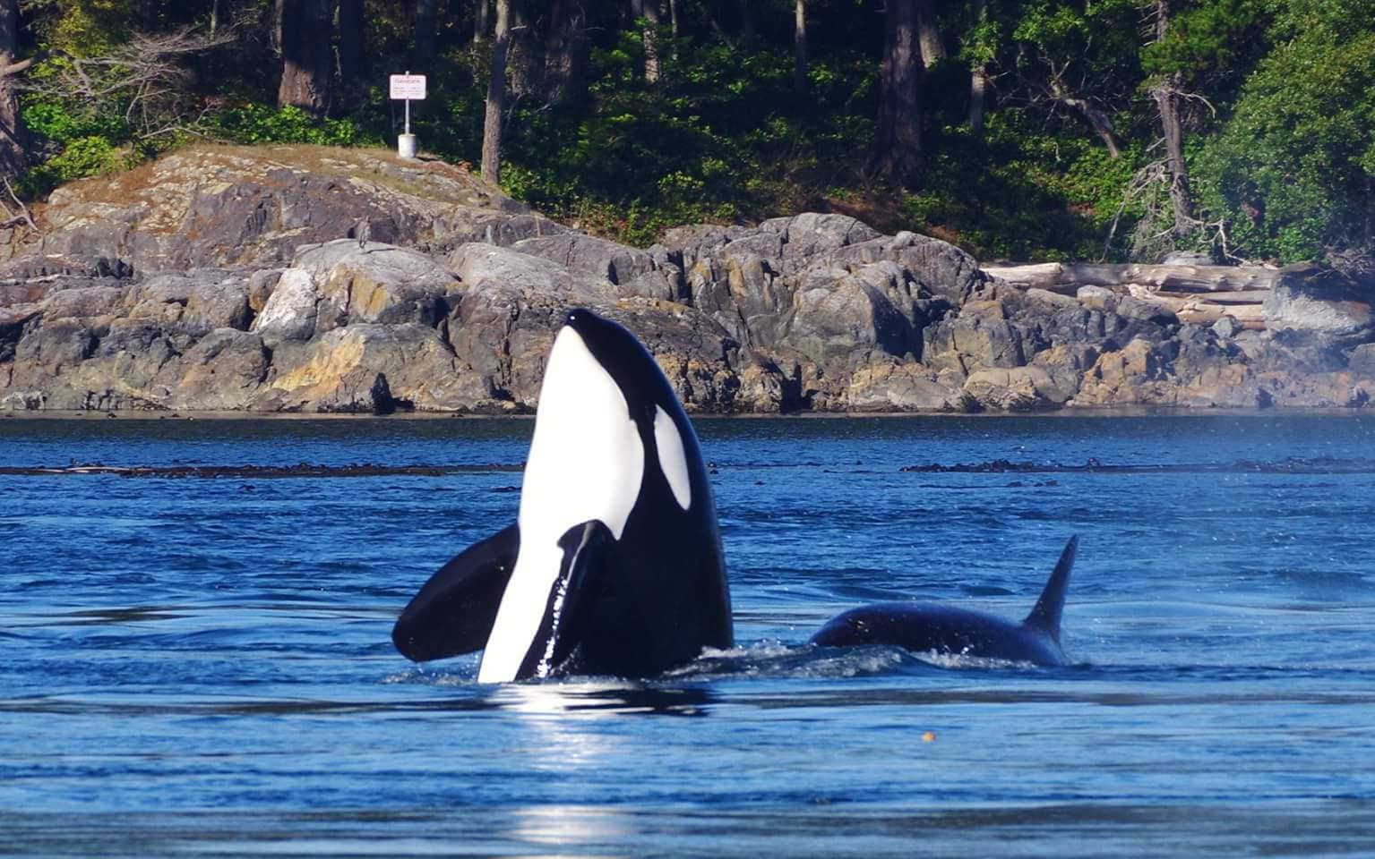 5 Can’t-Miss Outdoor Adventures in Sooke, BC - Men's Journal