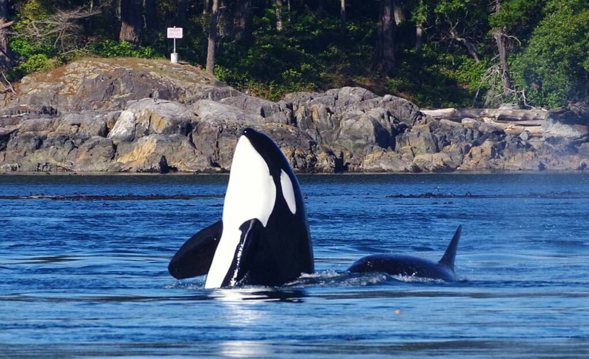 5 Can’t-Miss Outdoor Adventures in Sooke, BC