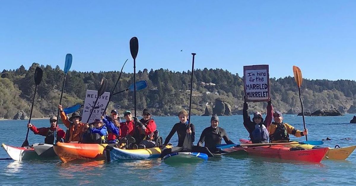 Opinion: Why the Fight to Protect Paddling is Worth It | Canoe & Kayak