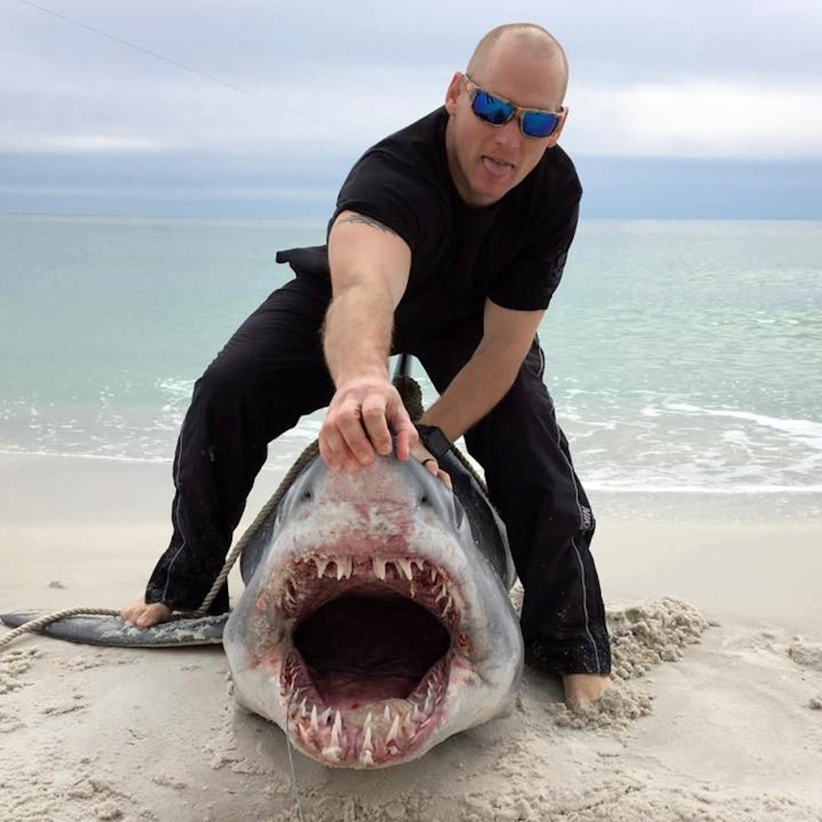 Military fishing team lands giant mako shark from Florida beach - Men's ...