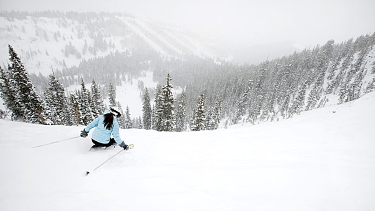The Case Against One Wasatch: Keeping Utah's Ski Mountains Pristine