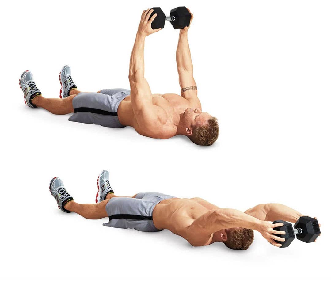 Gym Chest Workout Routine For Beginners - Infoupdate.org