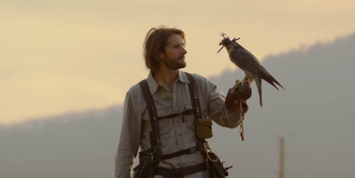 Inside the mind of a pro hang glider pilot, with a falcon for a sidekick