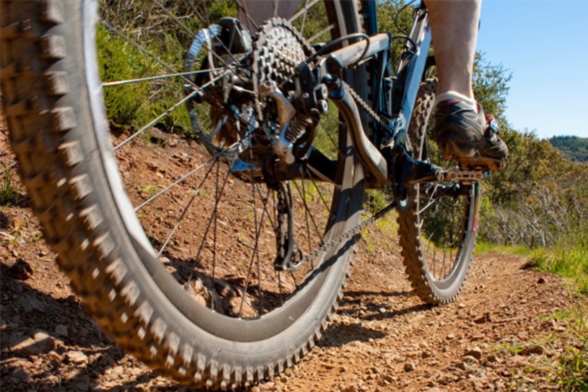 10 Best Mountain Biking Trails