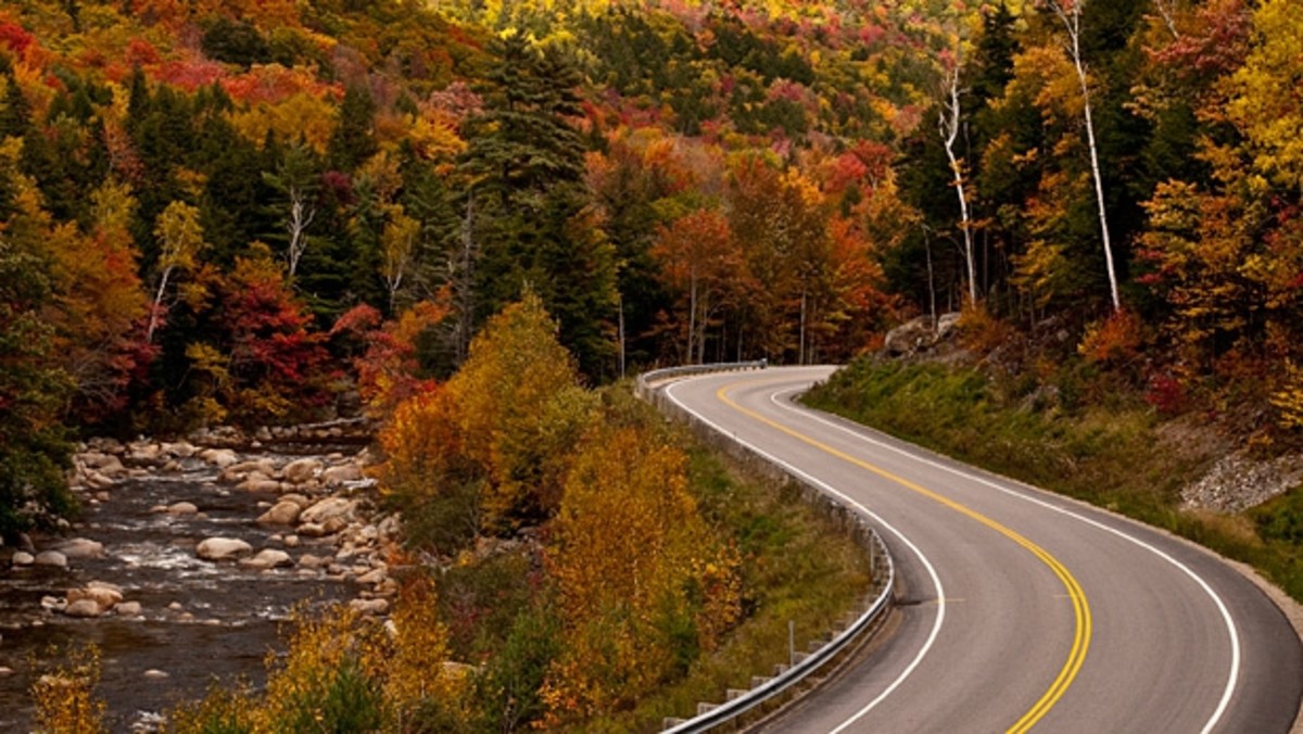 America's Best Road Trips for Expert Drivers