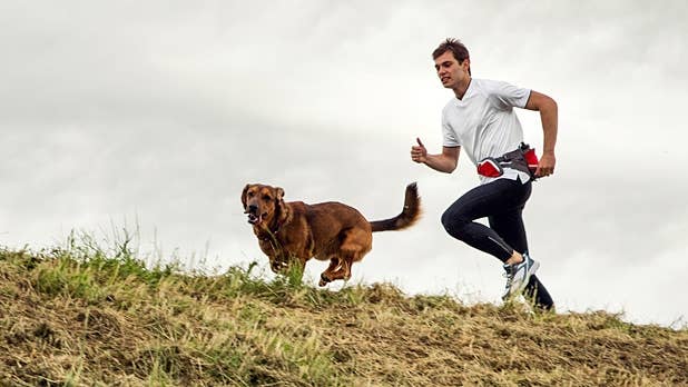 How to Safely Run With Your Dog