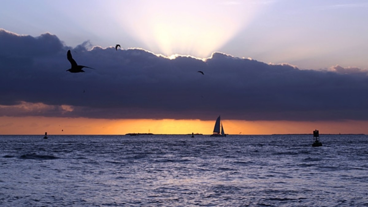 The Best Views from American Roads