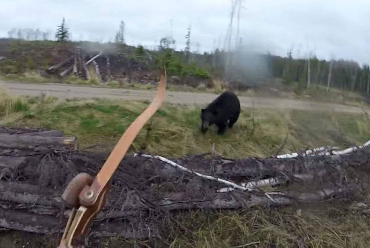 Hunter attacked by bear in viral video gets revenge, tells his story