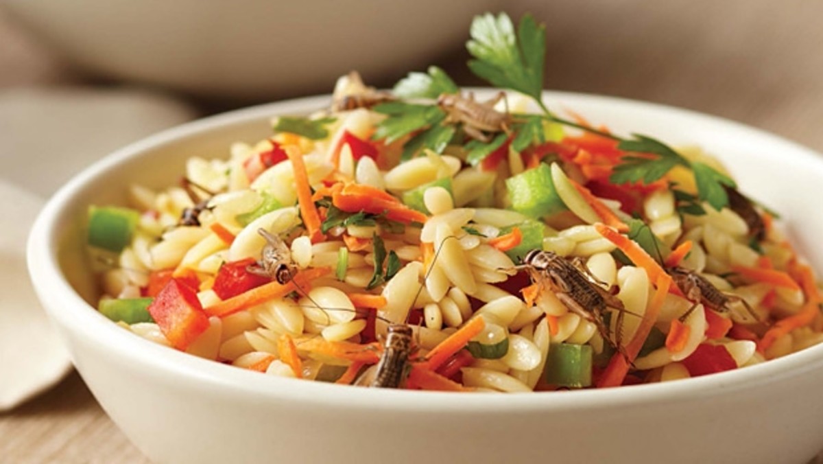 A Bug Dish for Insect Cooking Beginners