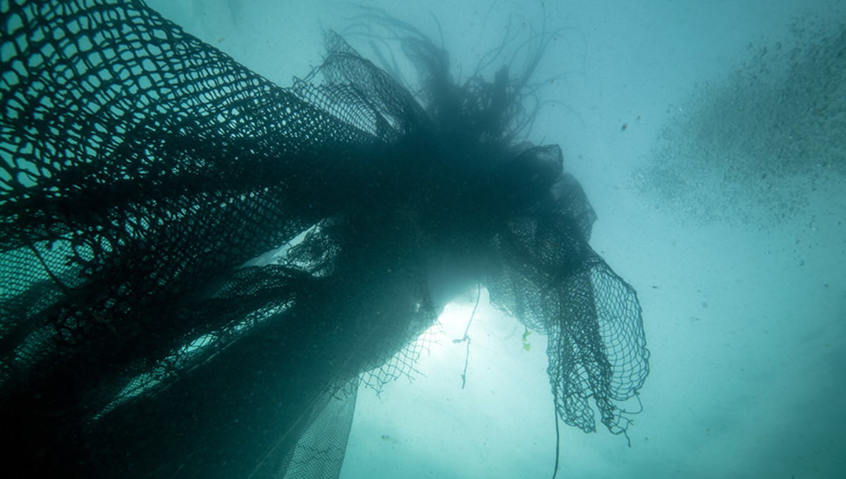 The Devastating Impact of Plastic Pollution on our Oceans