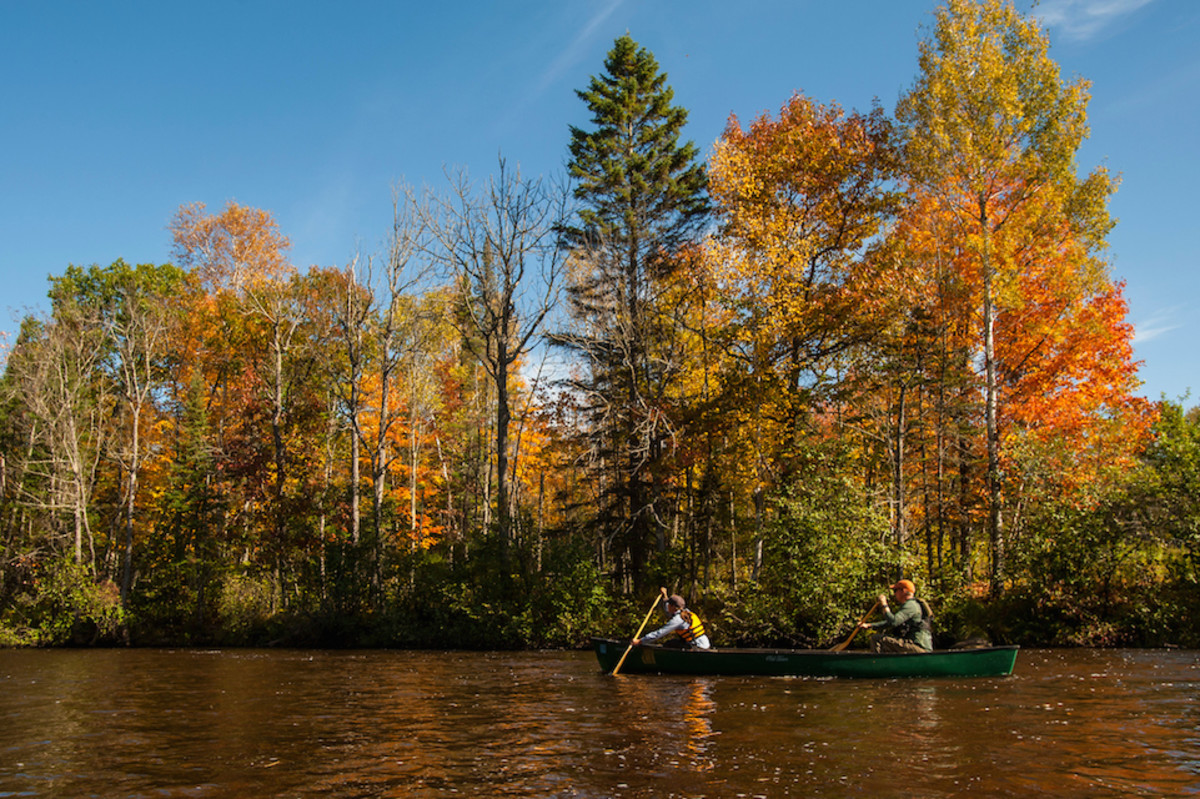 Fall Paddling Tips: What to Wear