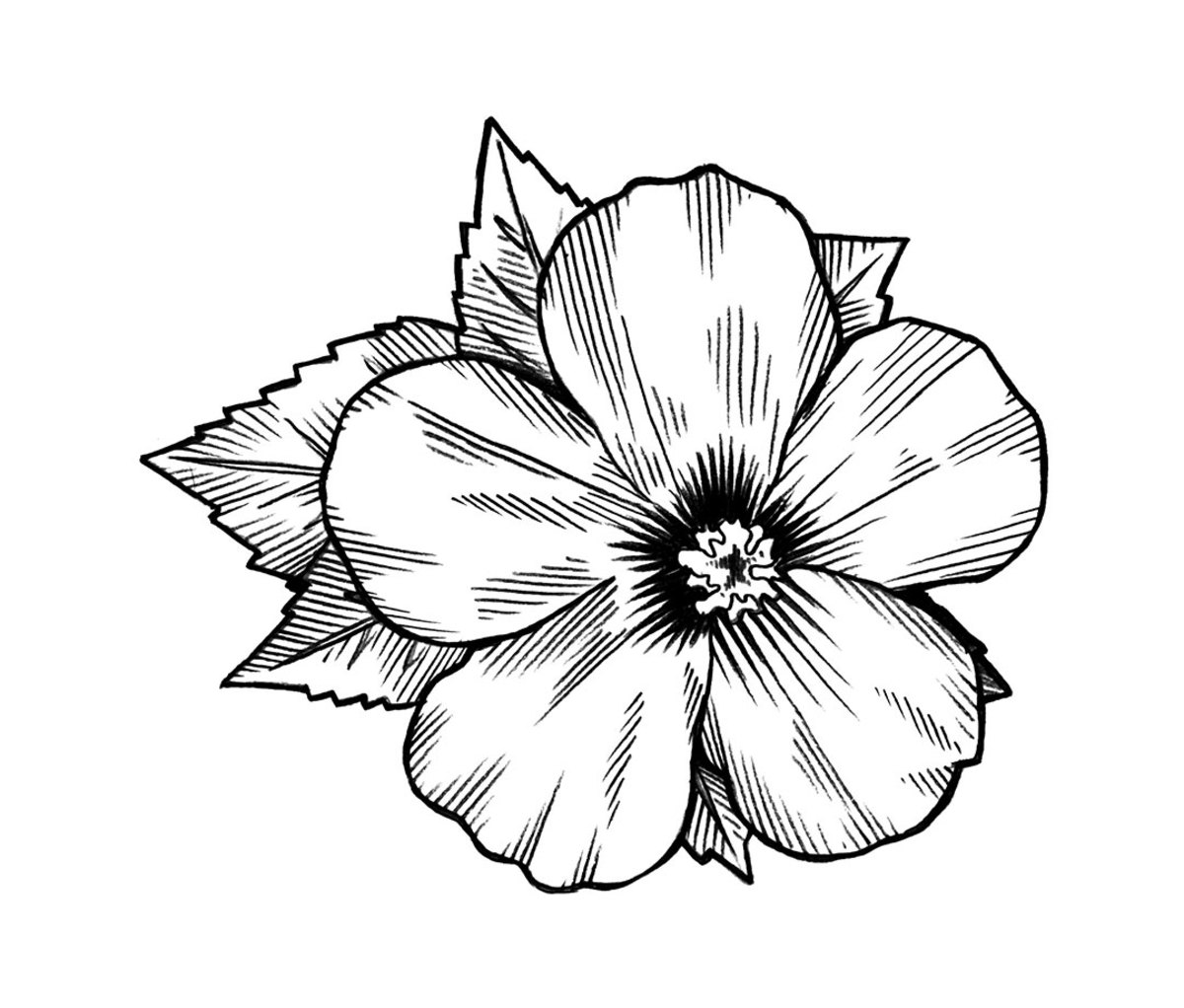 Mezcal and a Molcajete: What Taco Master Carlos Raba Can't Live Without