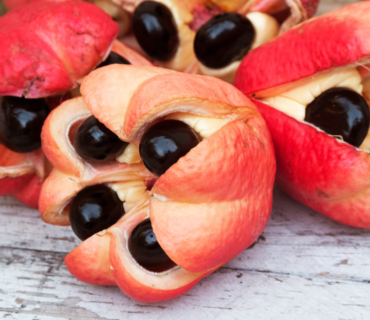 12 Foods That Can Kill You (Seriously)