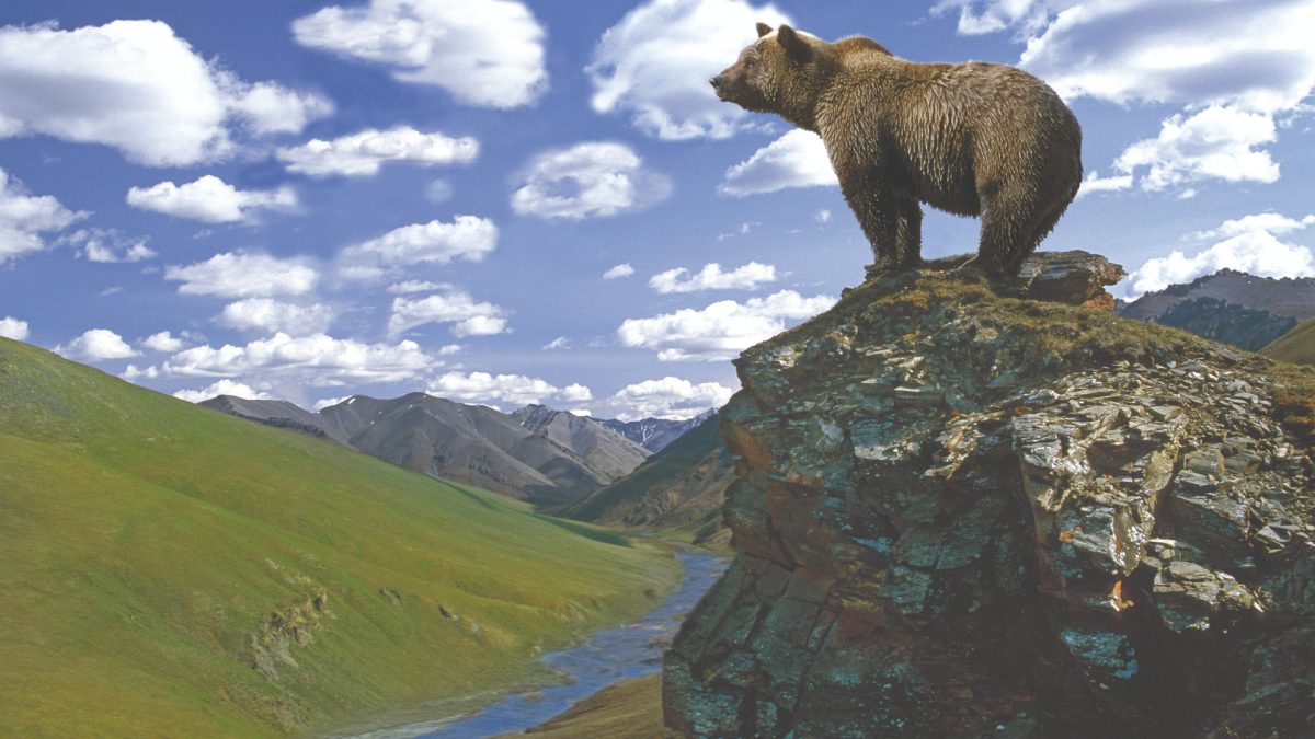 Alaska’s Arctic National Wildlife Refuge: An Isolated Experience