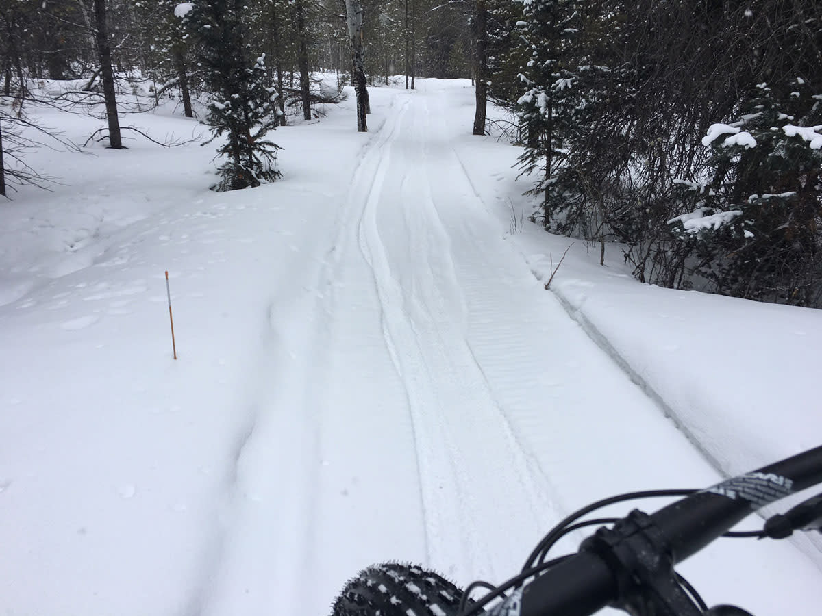 A complete guide to fat-biking basics