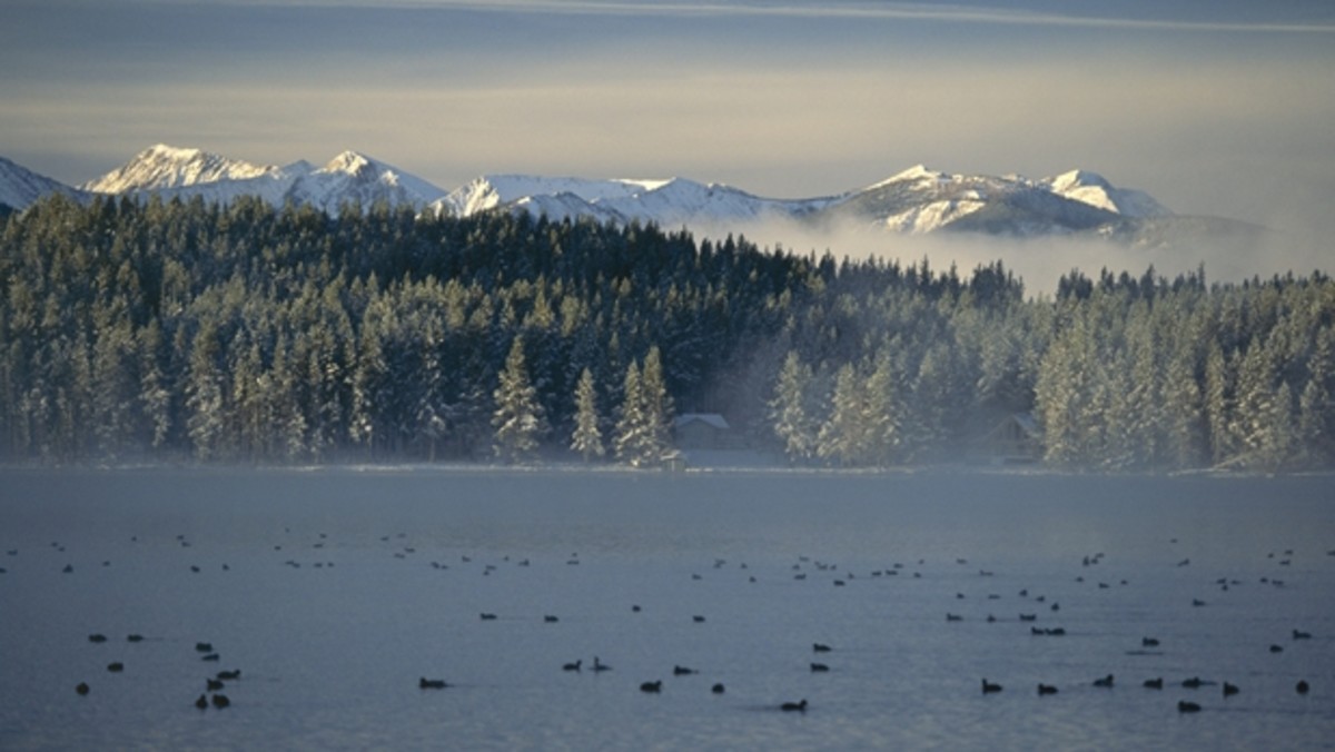 The 17 Best Rivers and Lakes to Go Fly-fishing in Montana