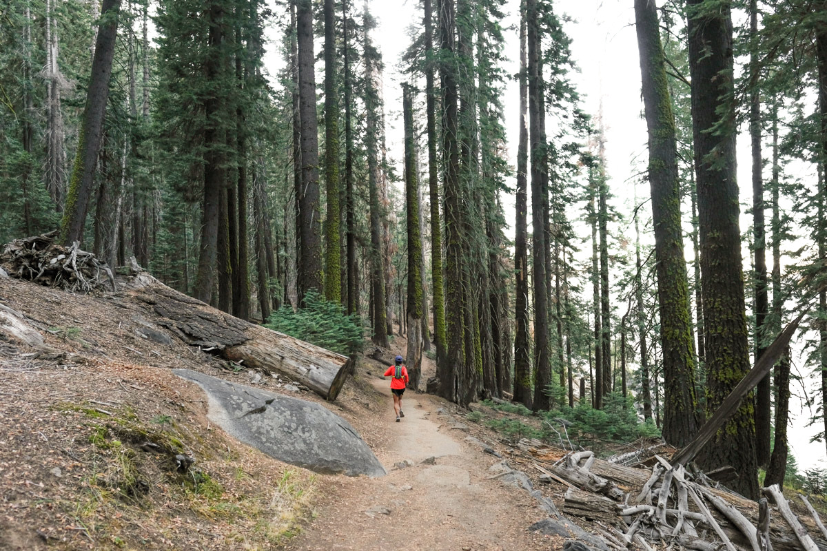 5 of the Most Scenic Trail Runs in Yosemite National Park