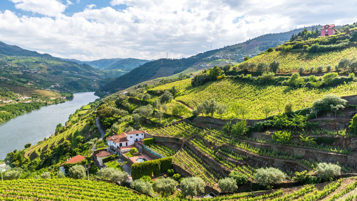 Vinho Verde Might Just Be the Perfect Summer Wine | Men’s Journal