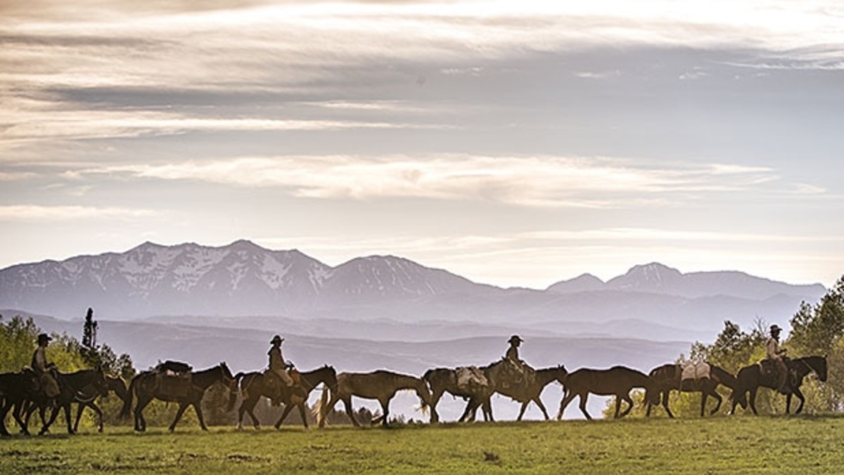 Following an Unbridled, 3,000-Mile Wild Mustang Drive: Photo Essay ...