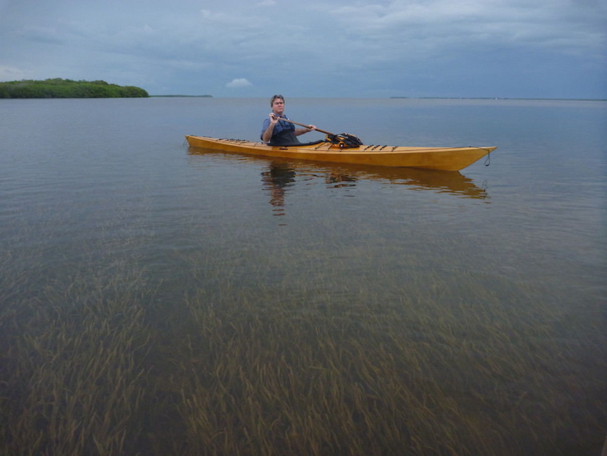 Rides: Bob Bonnen’s Pygmy Arctic Tern 17