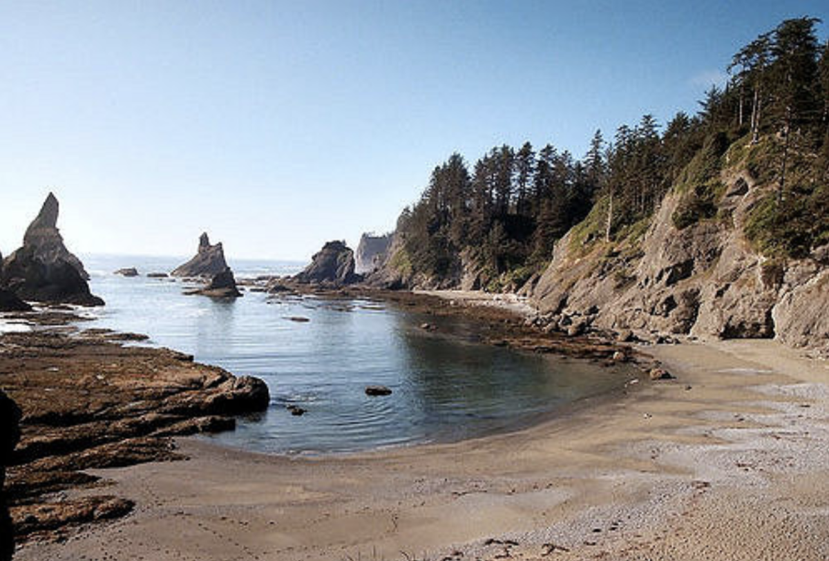 What to do on Washington's Olympic Peninsula